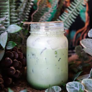 Home - Tribe Tea House and Kava Bar