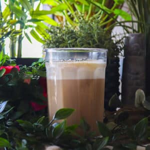 Home - Tribe Tea House and Kava Bar