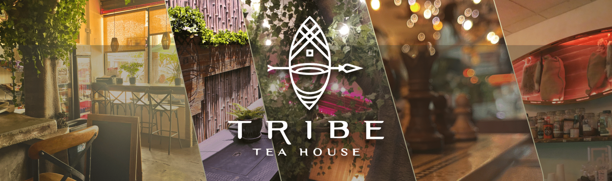 Home - Tribe Tea House and Kava Bar